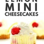 Raspberry Lemon Mini Cheesecakes - Zested Lemon